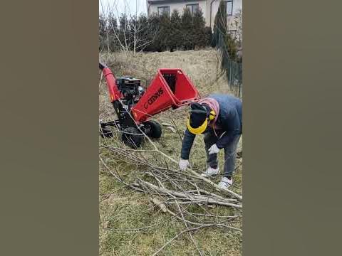 Rozdrabnianie gałezi do ok 7-8cm średnicy Cedrus RB04 PRO - YouTube