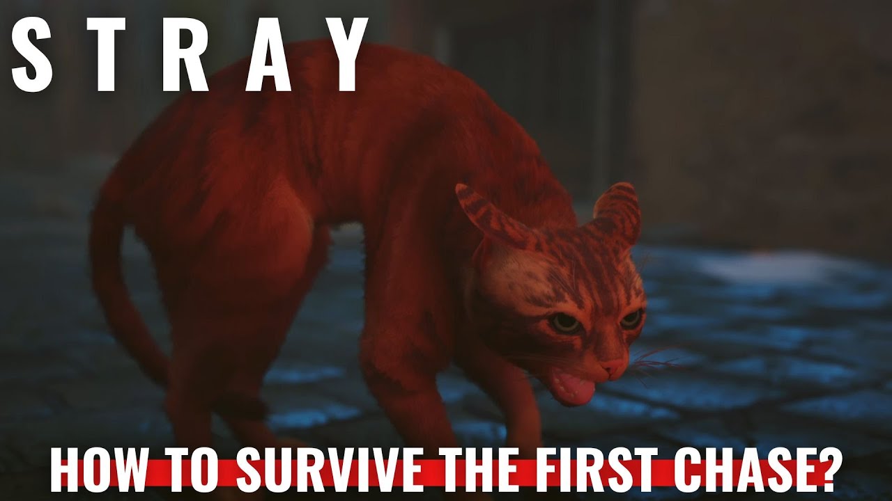Stray - How to survive the first chase? (Dead City level) - YouTube