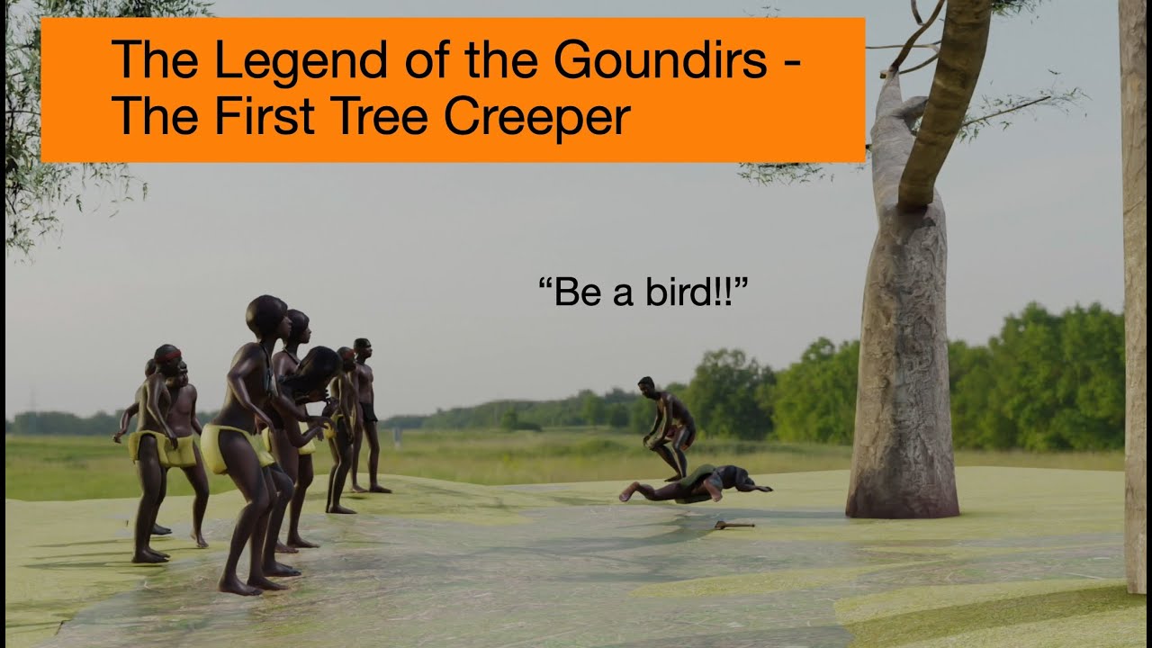 Aboriginal stories- The First Tree Creeper - YouTube