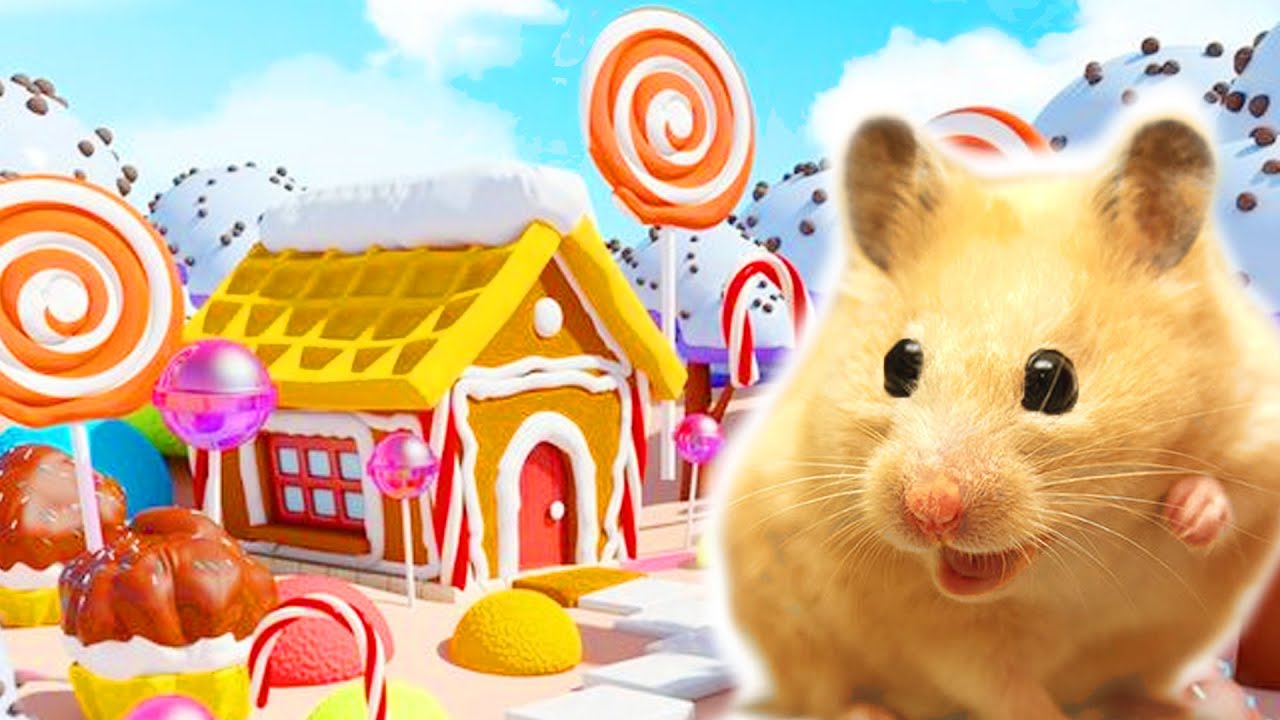 Hamster Adventure overcomes obstacles Maze Candy house in Hamster ...