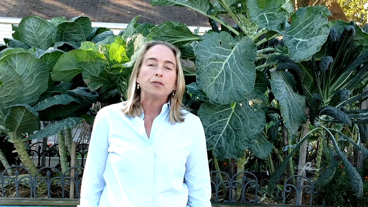 Emily Rogan, Democratic Candidate for Huntington Town Council 2017 ...