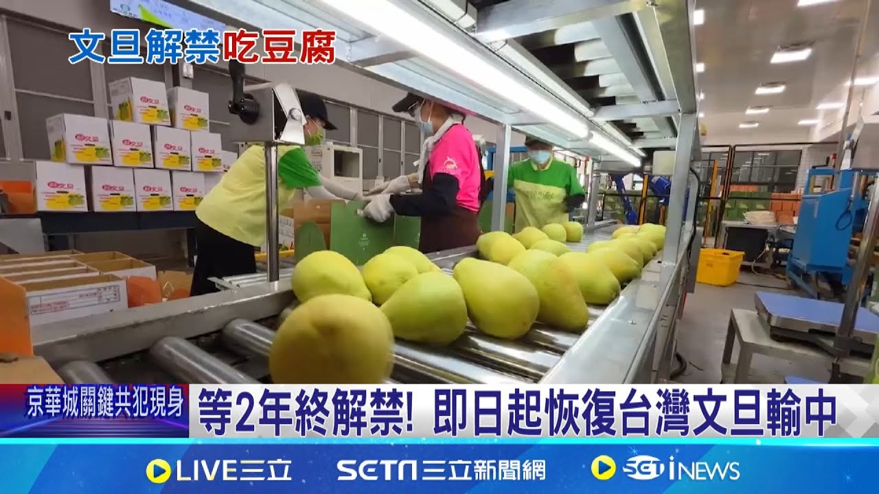 等2年終解禁! 即日起恢復台灣文旦輸中｜三立新聞網 SETN.com - YouTube