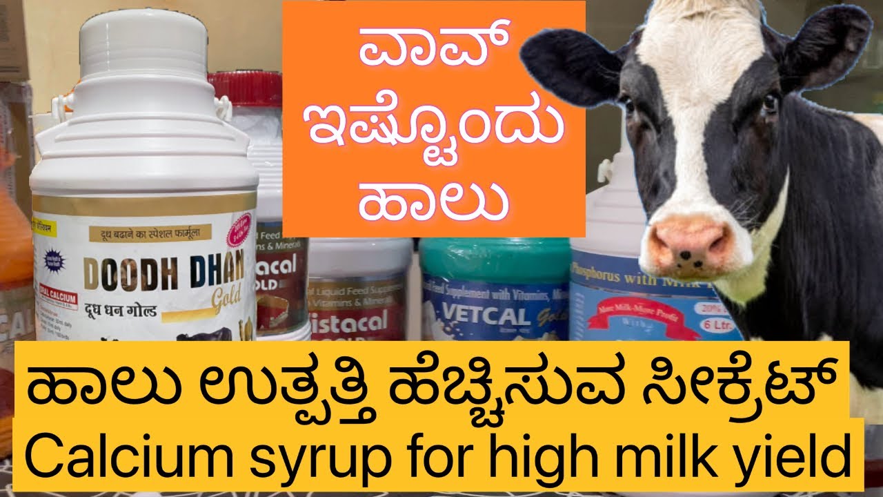ಹಾಲು ಉತ್ಪತ್ತಿ ಹೆಚ್ಚು ಮಾಡುವ ಕ್ಯಾಲ್ಸಿಯಂ|Best calcium for high milk yield ...