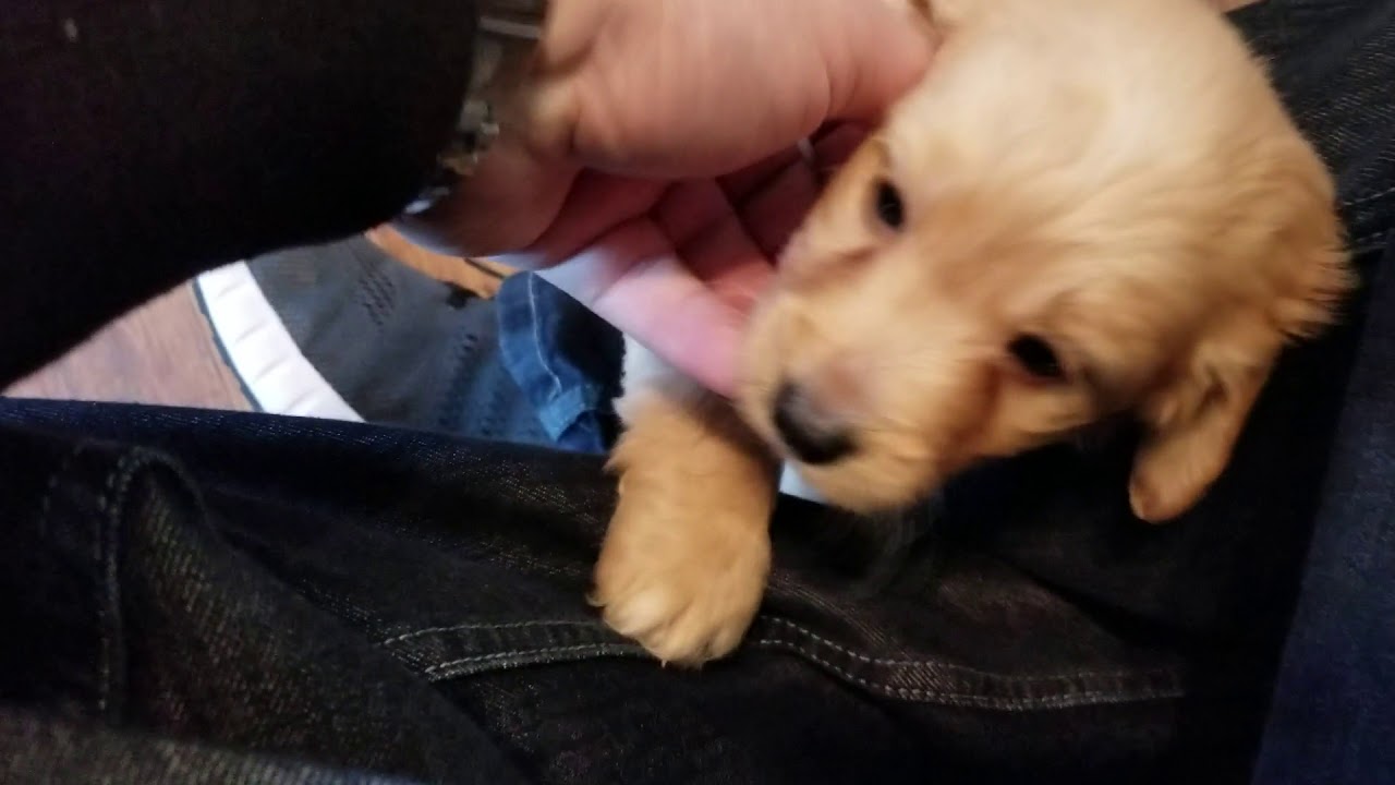 First visit to see buddy - YouTube