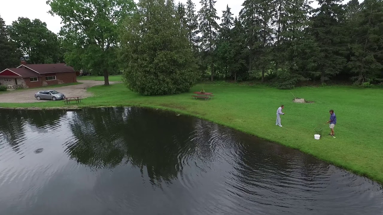 Lyndon Fishing Pond Fishing For Rainbow Trout Canada YouTube Lyndon Fishing Pond Fishing For Rainbow Trout Canada YouTube