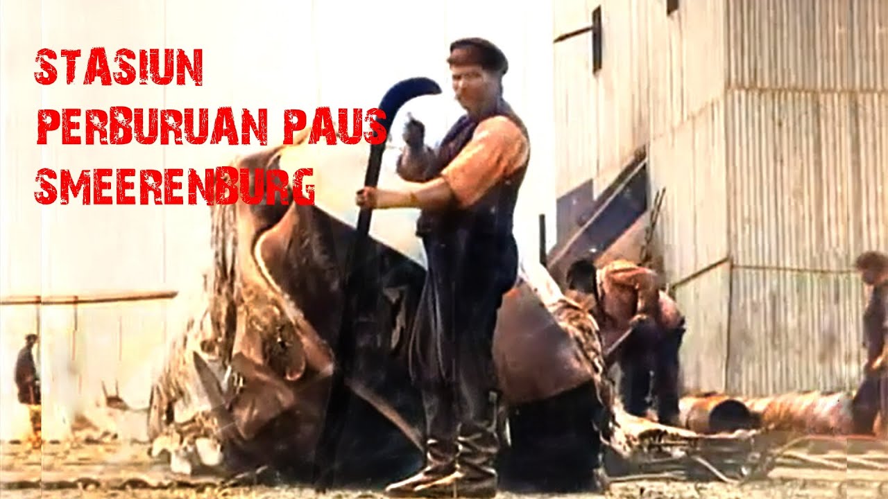 PERBURUAN PAUS SPITSBERGEN - SVALBARD (Stasiun Perburuan Paus ...