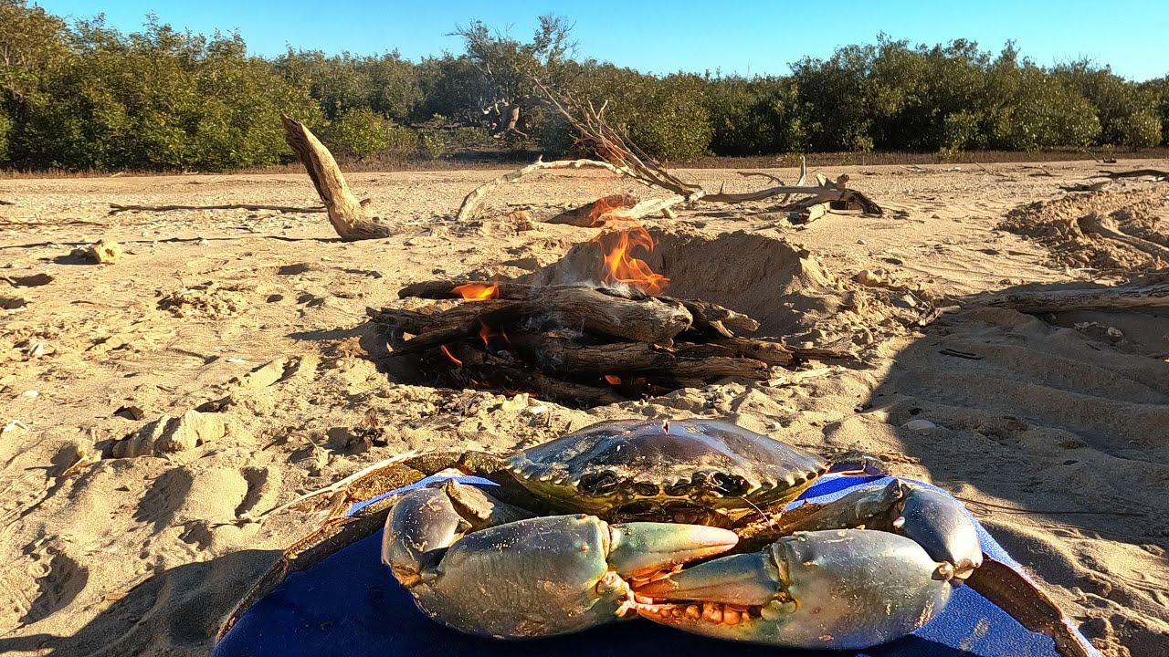 Catch & Cook | Mud Crabbing Australia - YouTube