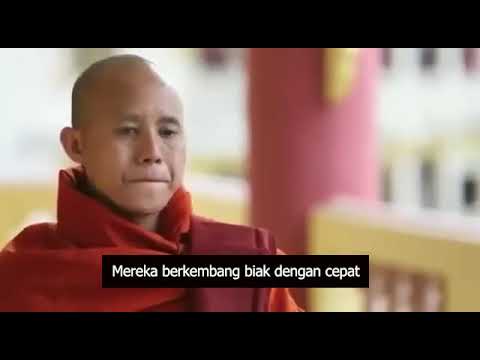 Pandangan Biksu Ashin Wirathu tentang Rohingya
