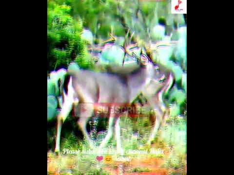 Kai ilteja harania Hazrat khaya haji imdadullah moulood sindhi