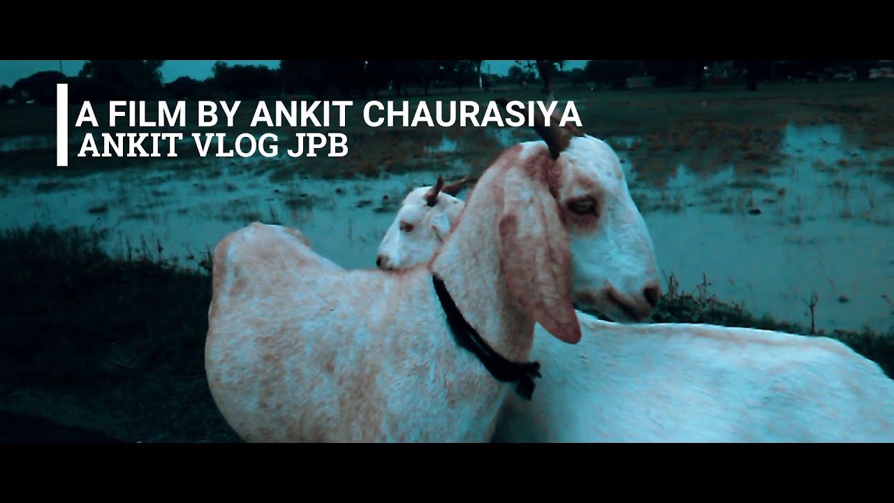 CINEMATIC VIDEO | ONLY CINEMATIC VIDEO | INSPIRE TO ANKIT BHATIA ...