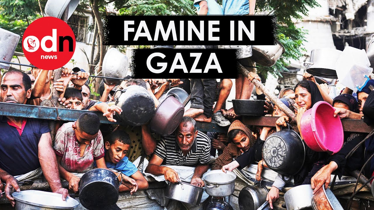 IPC Officially Declares Famine in Northern Gaza @OnDemandNews