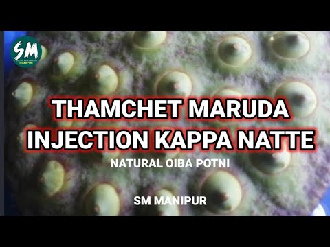 Thamchet maru gi fact check / Injection kappa natte / Natural ...