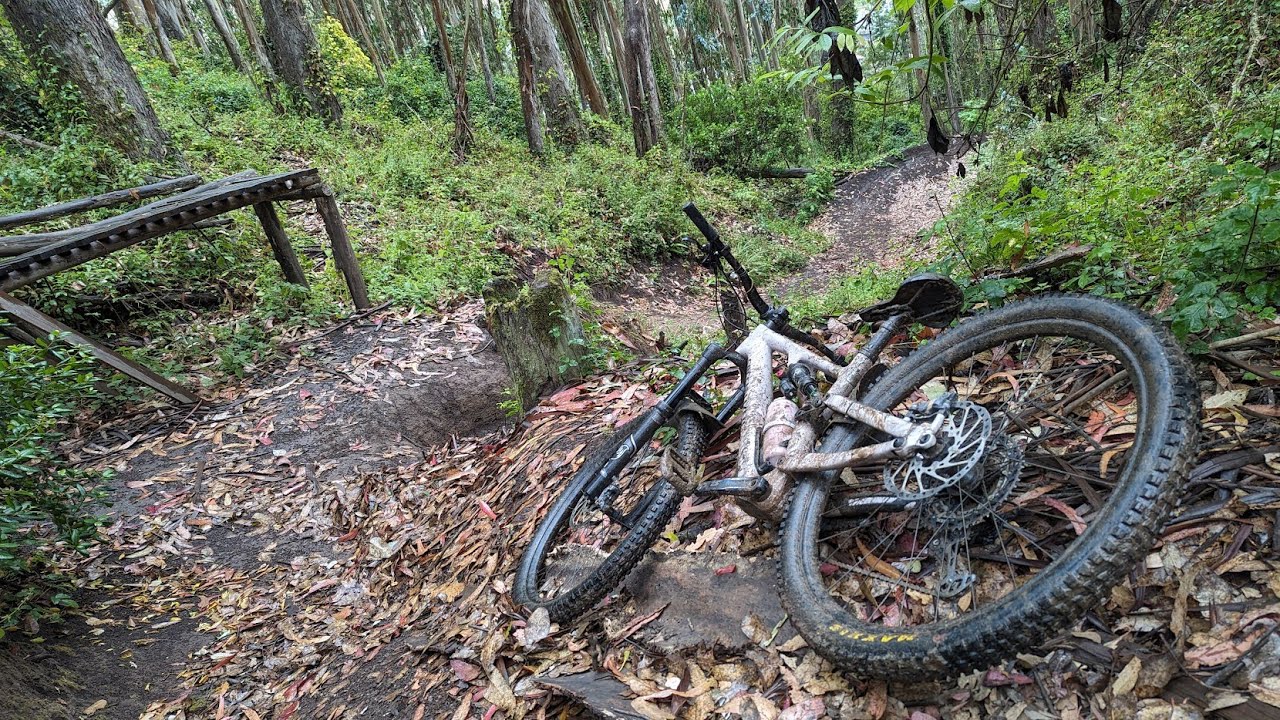 20230901 - Two Pines, Burnside, Tanga, Fly Amanita, XXX, and Nelson's ...