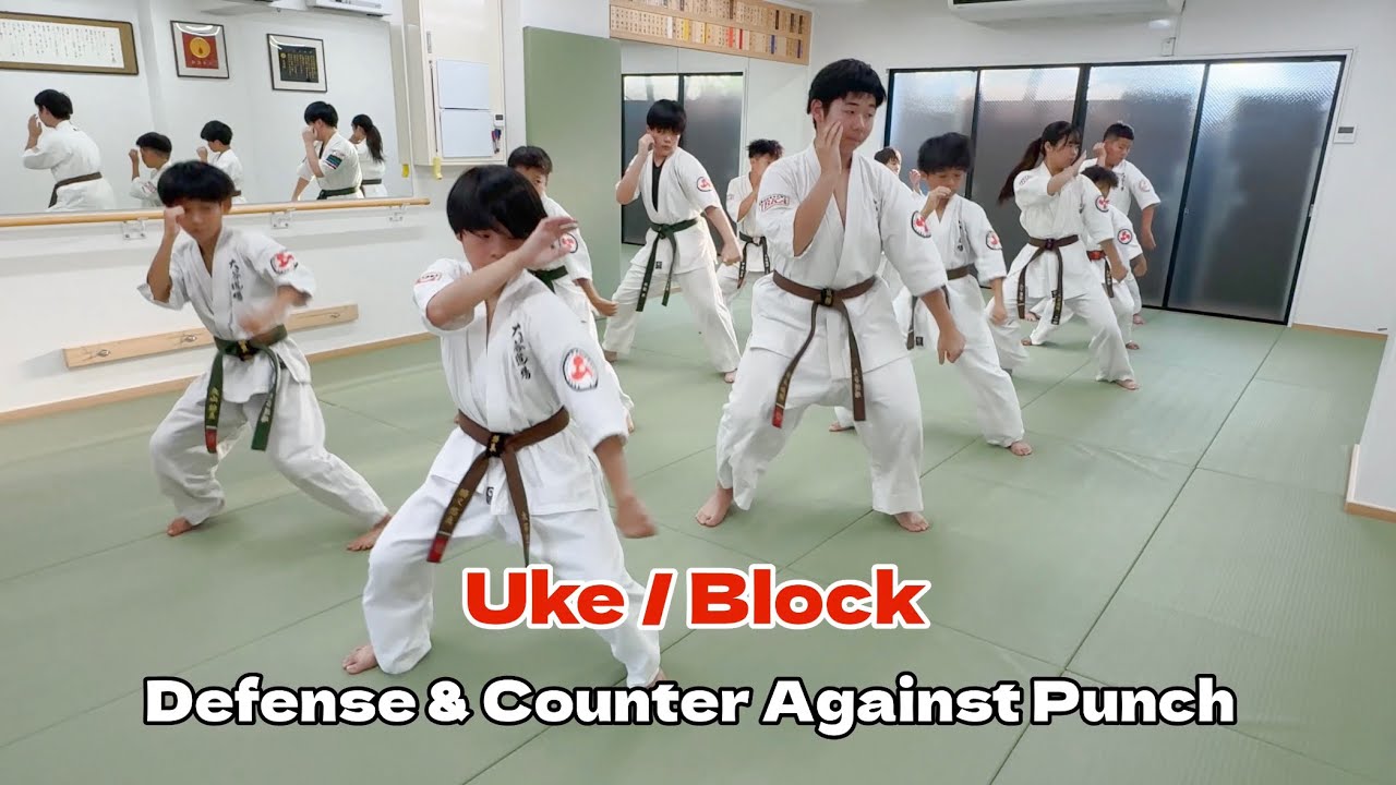 【Uke / Block】Defense & Counter Against Punch 突きに対しての受け返し @OtaniDojo ...