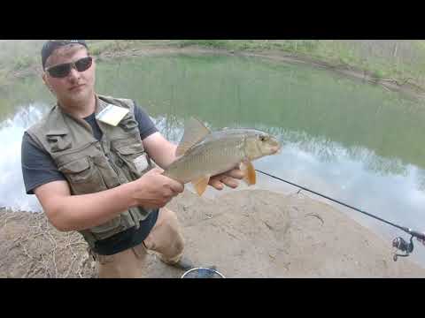 Fishing the Carp and Sucker Spawn in Pennsylvania - YouTube