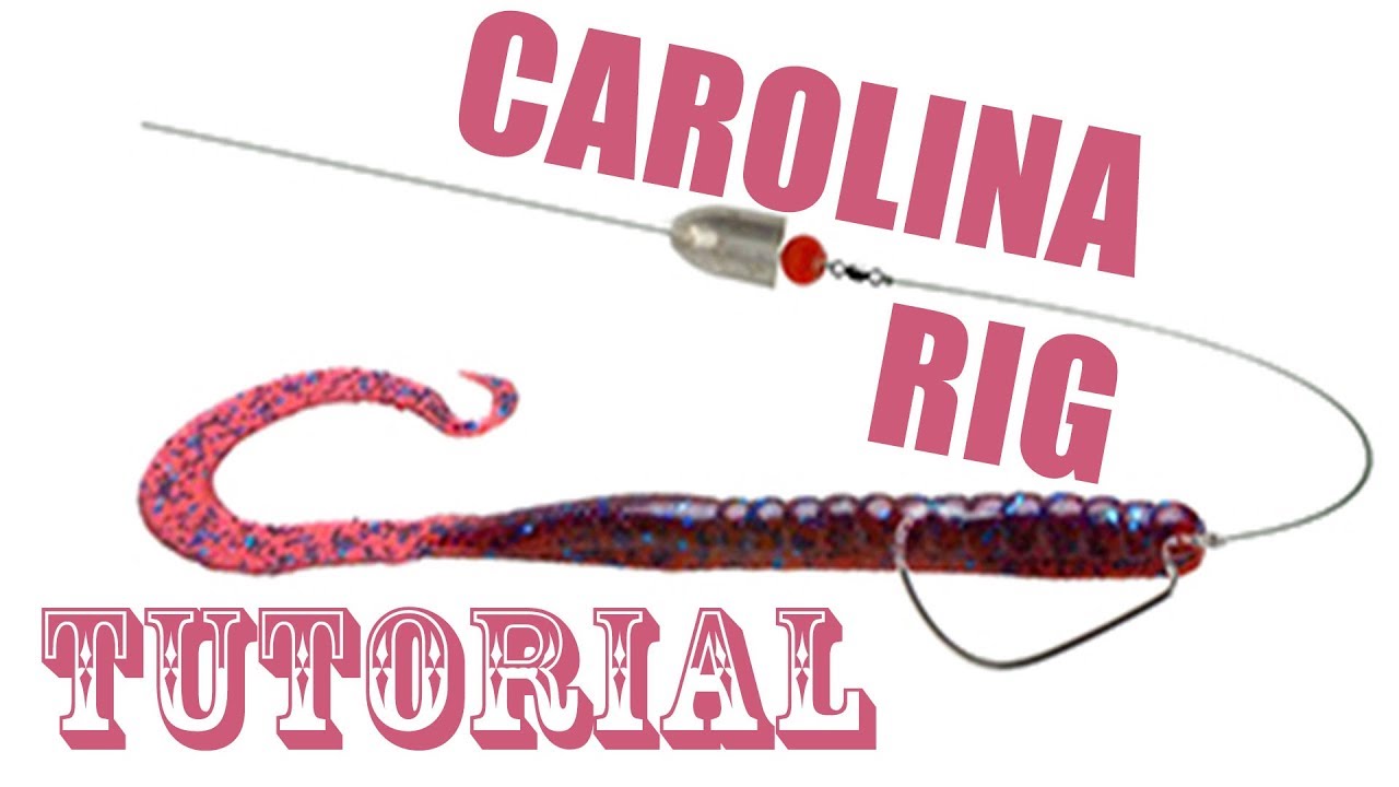 Das Carolina Rig - wie binde ich das Carolina Rig. Eine Anleitung ...