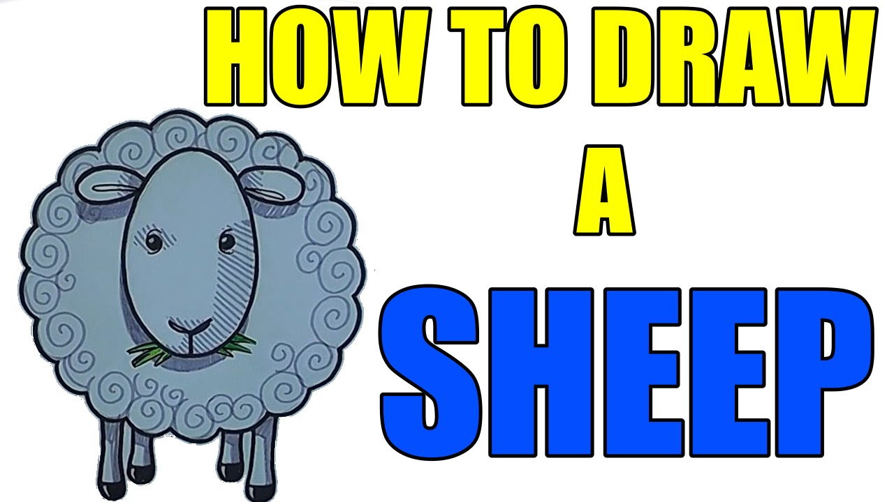 How To Draw A Sheep Step By Step - YouTube