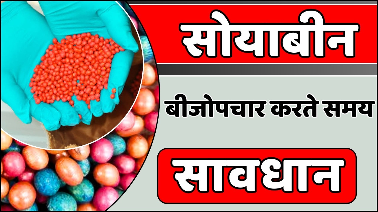 सोयाबीन बीजोपचार | Soyabean Beej Upchar | Soybean Seed Treatment - YouTube