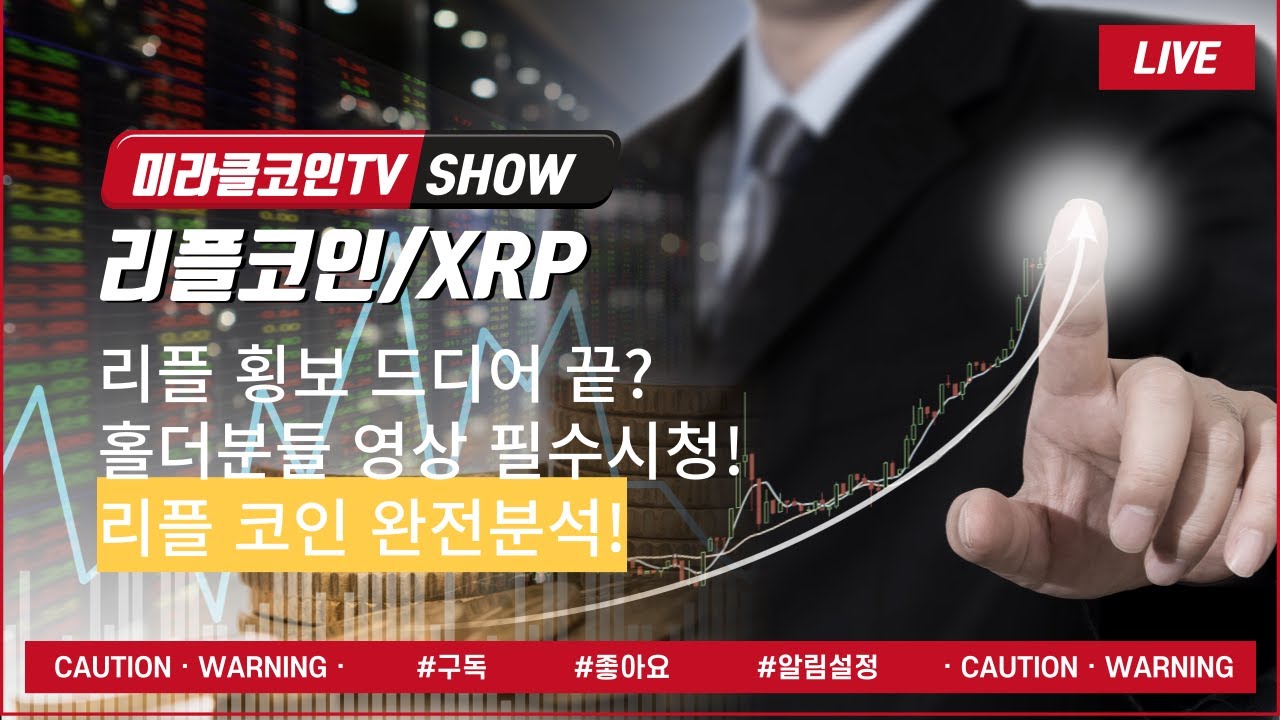 리플전망23년 리플의해 스테이블코인으로 변환 Sec소송 결과까지 리플코인실시간대응전략 Youtube