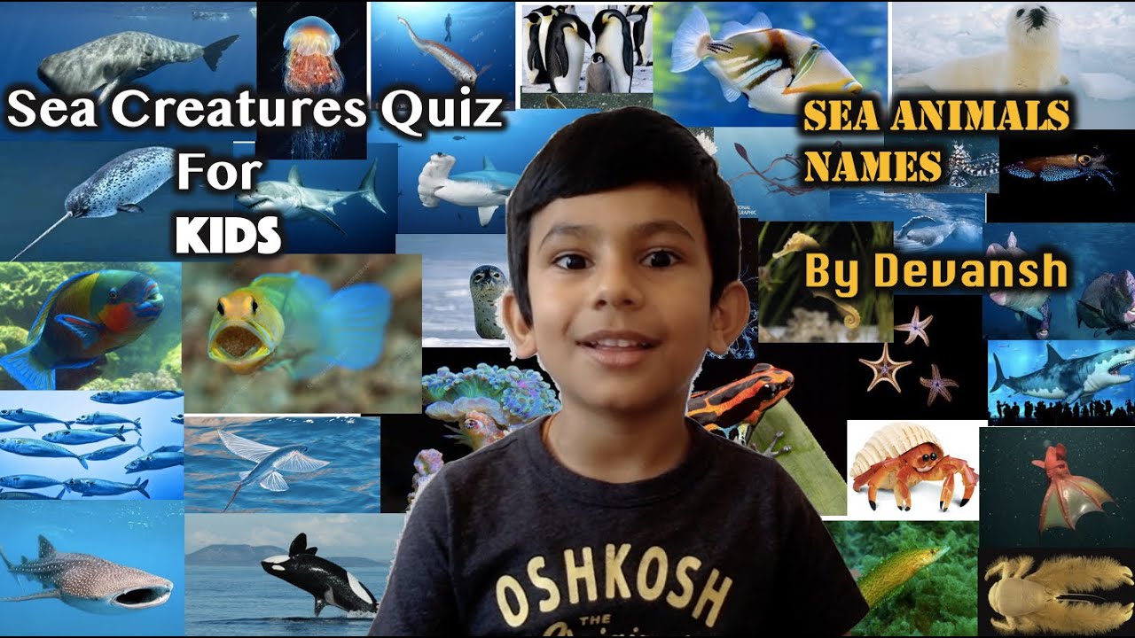 Sea Creatures Quiz Part1 || More than 100 Sea Animals Names by Devansh ...