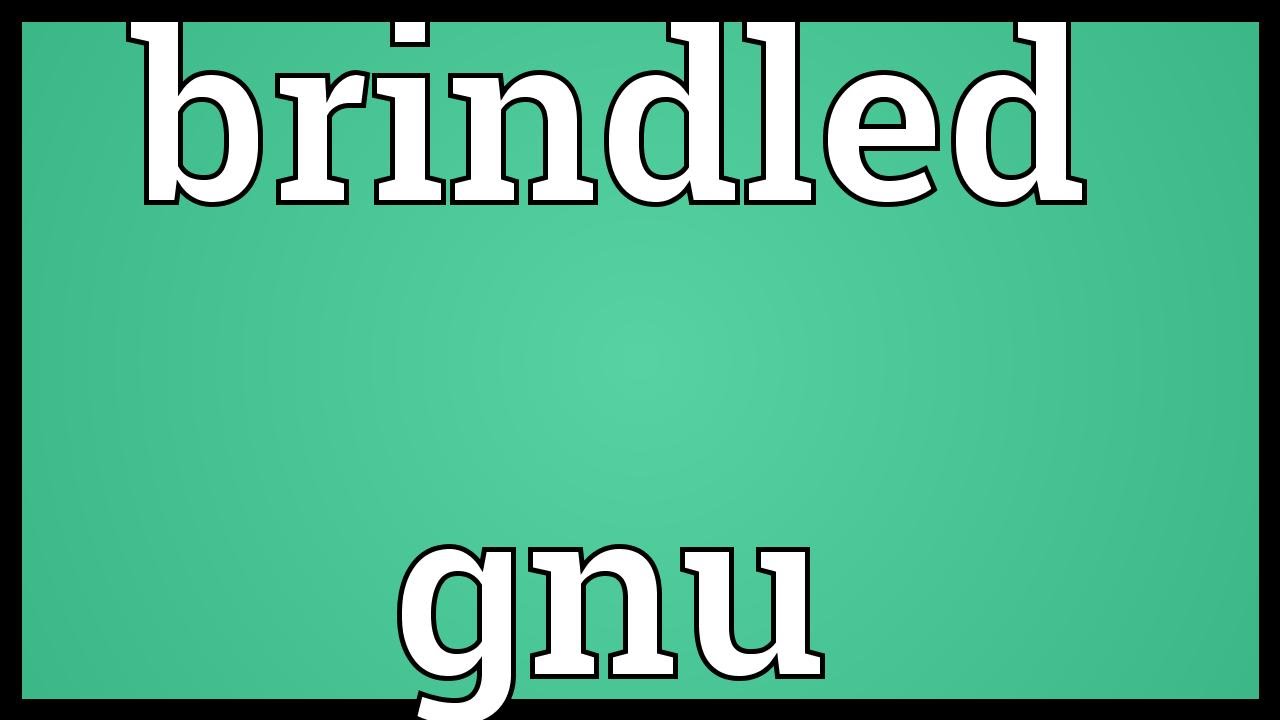 Brindled gnu Meaning - YouTube