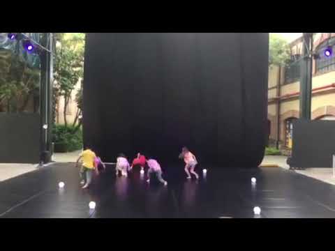 Lup Atrapasueños- Vivian Cruz