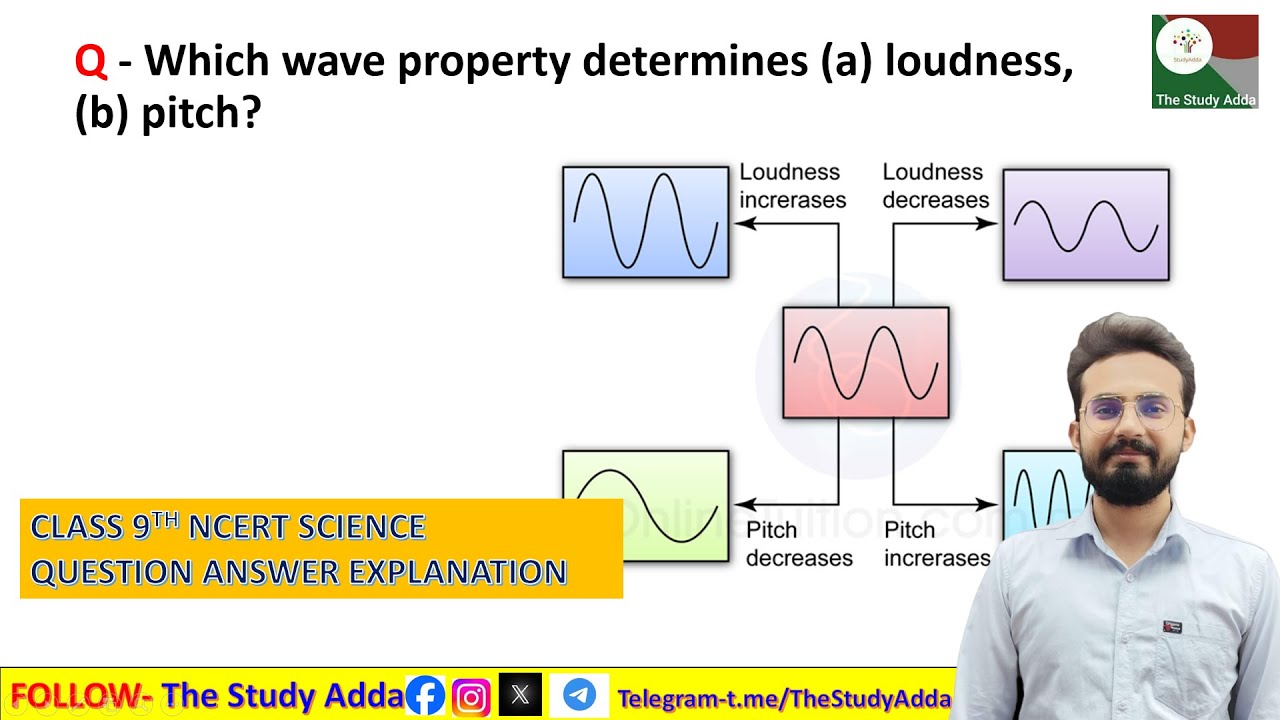 Which wave property determines (a) loudness, (b) pitch? Class 9 NCERT ...