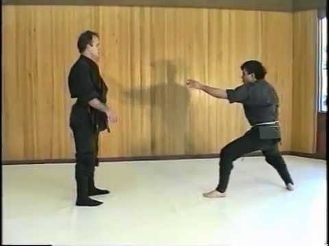 Combat Ninjutsu Kicks Defenses by Shihan Richard Van Donk - YouTube