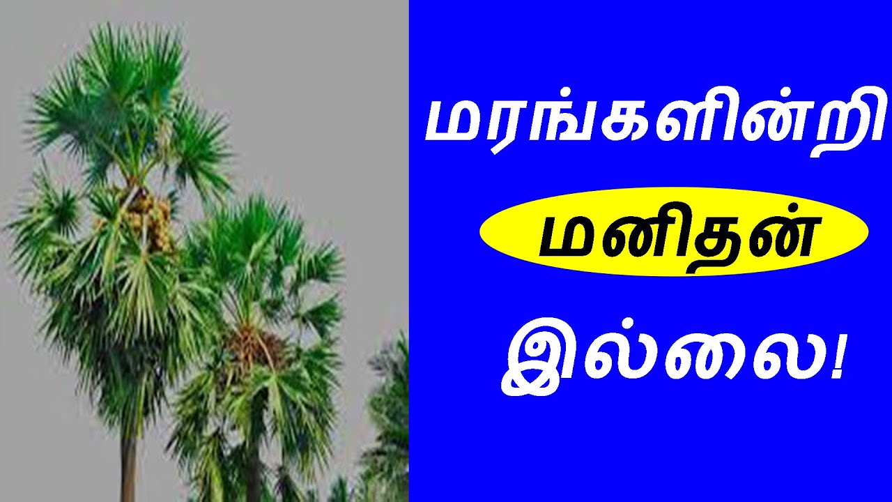 மரங்களின்றி மனிதன் இல்லை!/tree benefits in tamil/marangalin payangal ...