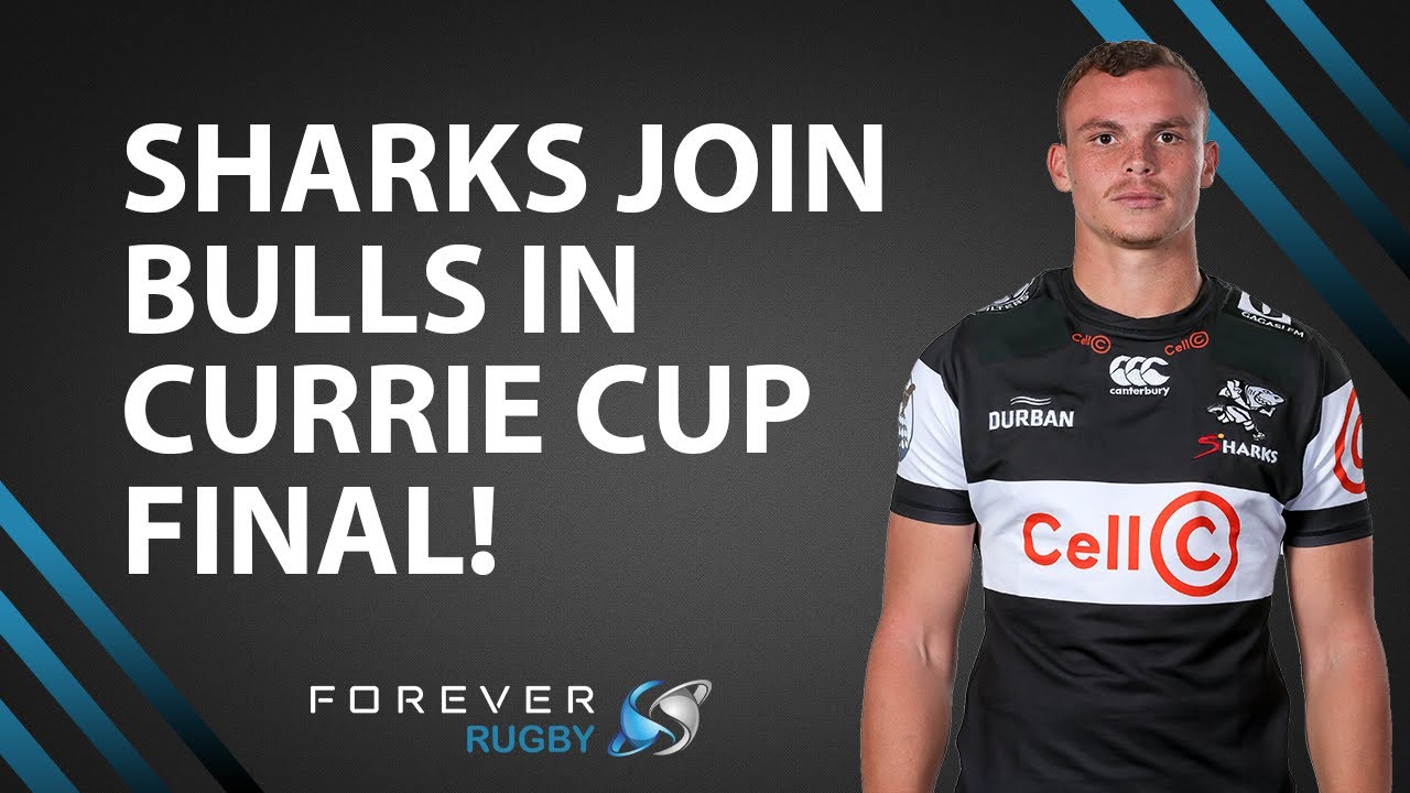 SHARKS JOIN BULLS IN CURRIE CUP FINAL! | WP vs Sharks review | Forever ...