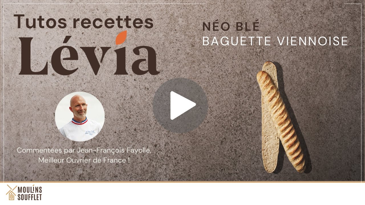 Recette de baguette viennoise avec la solution de pré-fermentation NEO ...