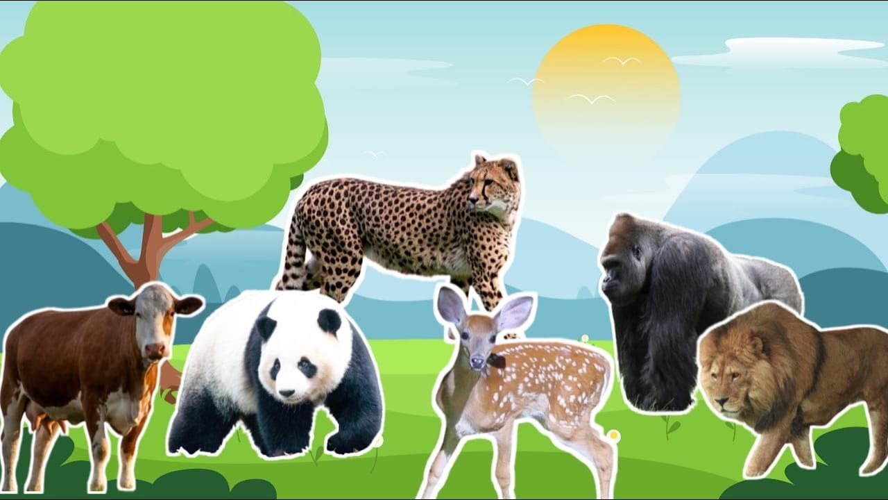 Cheerful animals; Sheep, cows, elephants, cats, horses, pandas ...