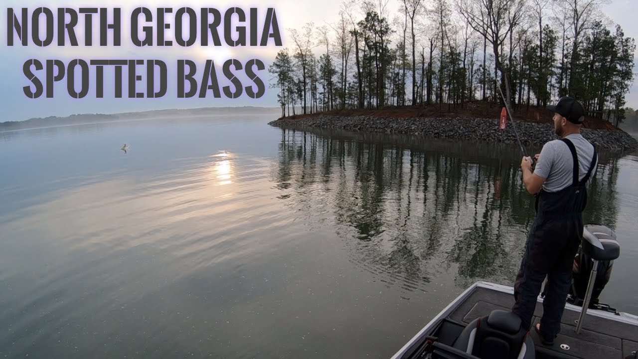Fishing for North Georgia spotted bass - YouTube