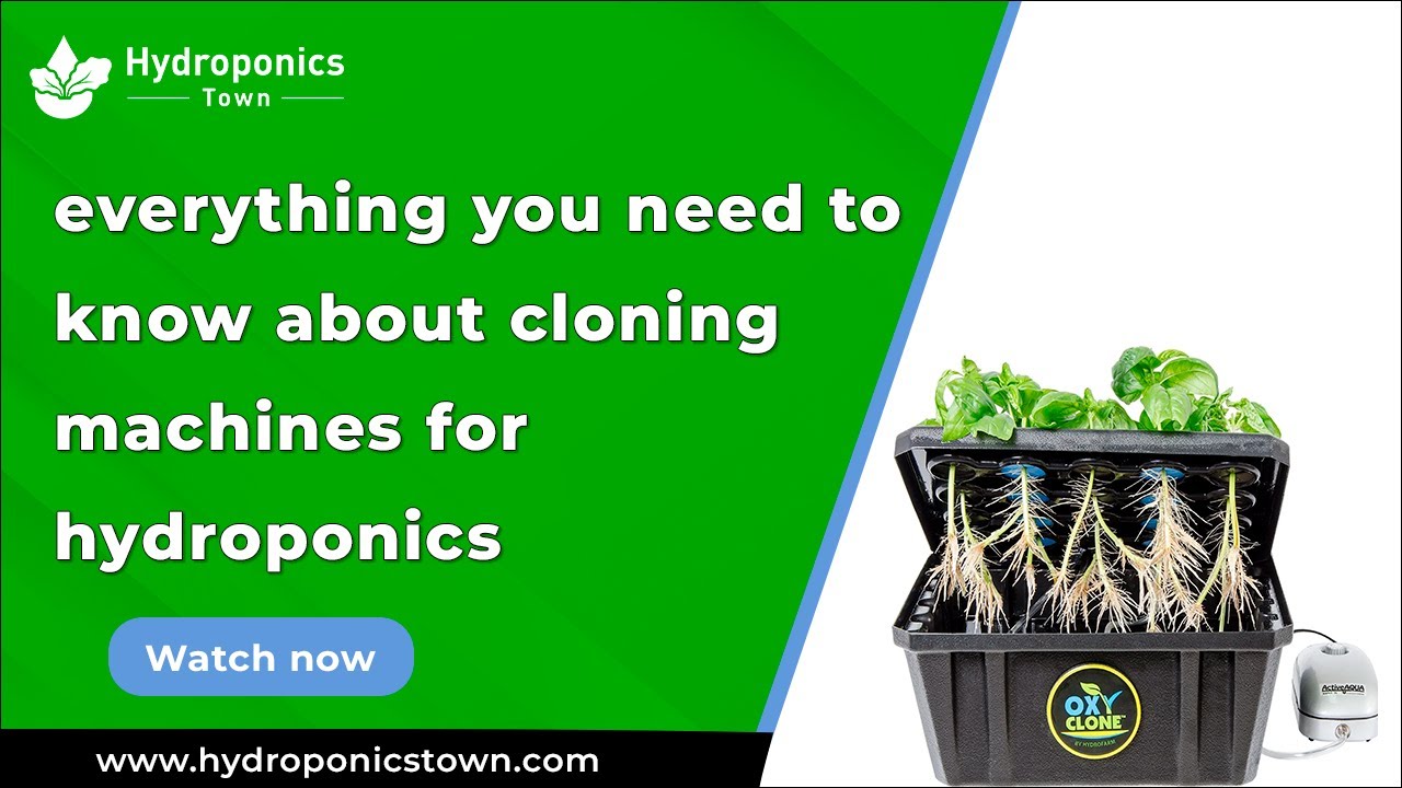 Everything You Need to Know About Cloning Machines for Hydroponics ...