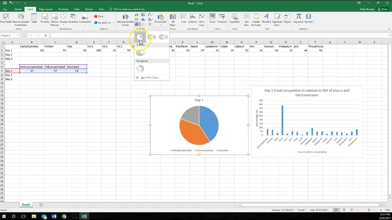Creating Graphs for Dietary Analysis - YouTube