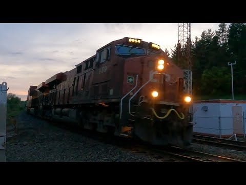 FOREIGN POWER! CP 8959, KCS 4836, UP 3033 at Palgrave (MAY 20, 2024) - YouTube