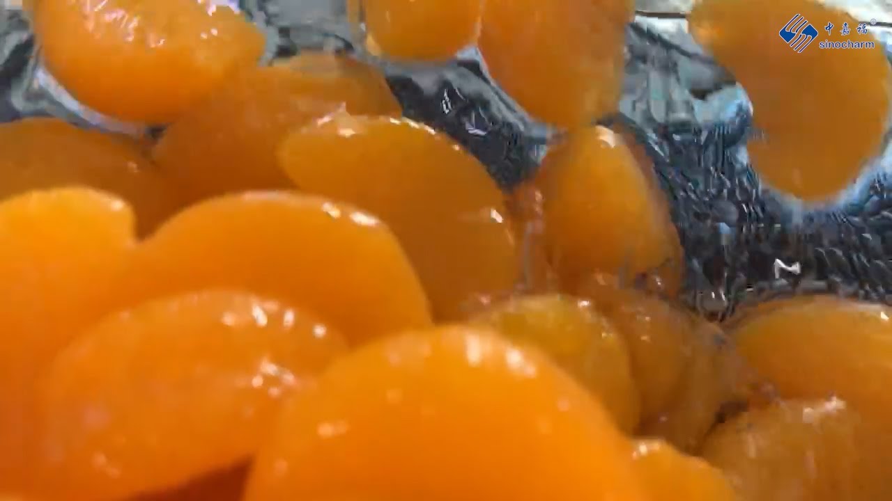 Frozen Mandarin Orange processing - YouTube
