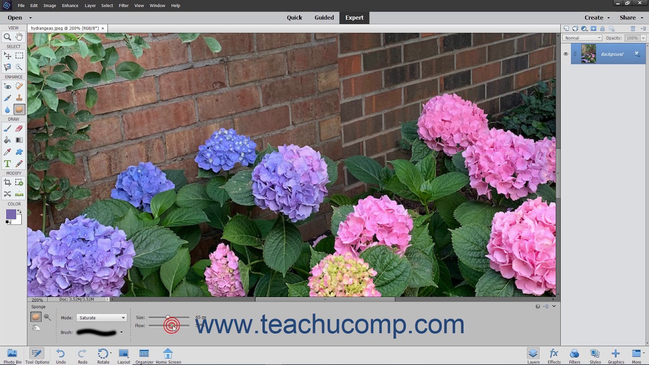 Photoshop Elements 2021 Tutorial The Sponge Tool Adobe Training - YouTube