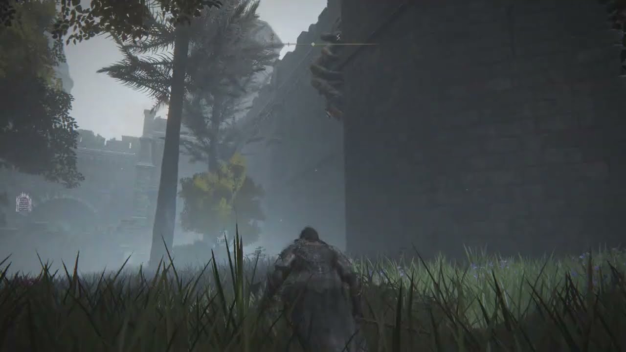 Dual Wield Staff of Loss 089: The Wizard Clears the Carian Courtyard ...