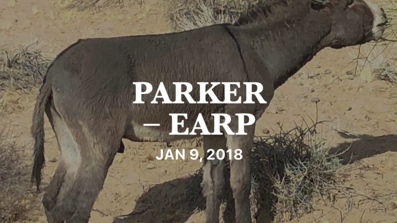 Earp, California - YouTube