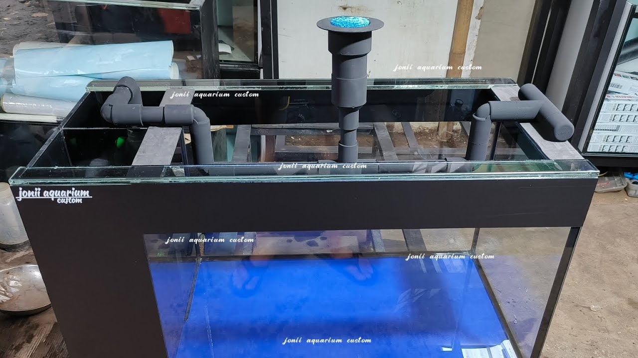 aquarium 80x40x40 filter samping set musroom .. - YouTube