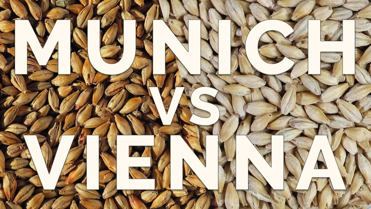 Malto MUNICH vs VIENNA | Homebrewing Tips - YouTube