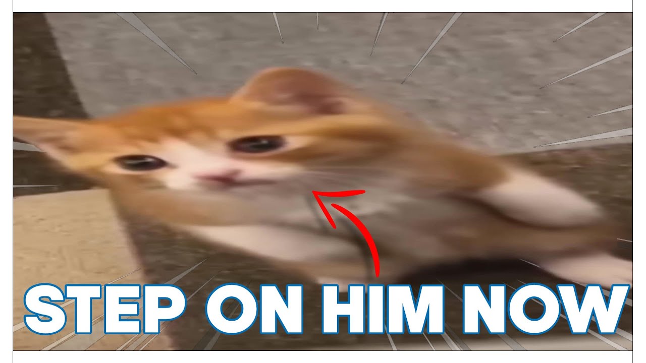 Blarg Reacts To Memes THAT ARE NOT GOOD - YouTube