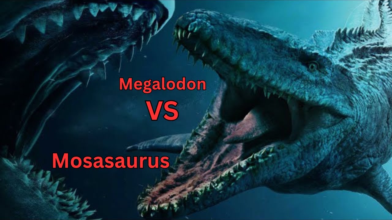 Megalodon Vs Mosasaurus - YouTube