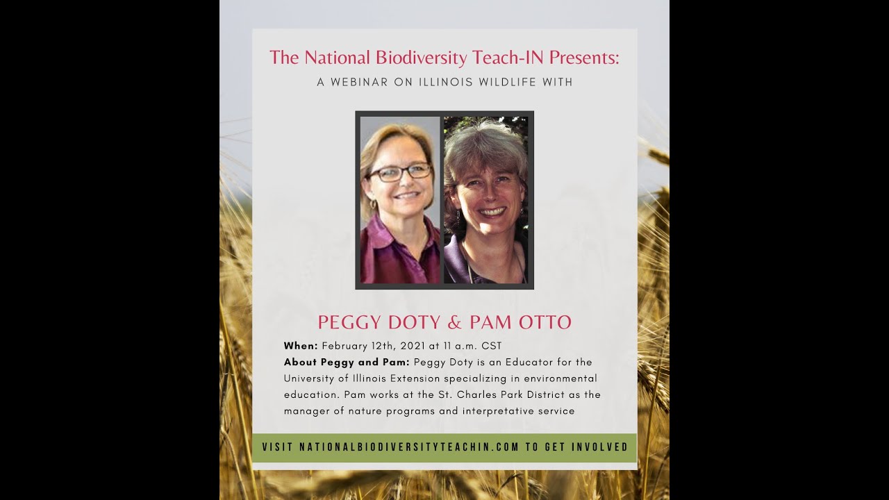 Peggy Doty and Pam Otto, Our Wild, Wild Life - YouTube