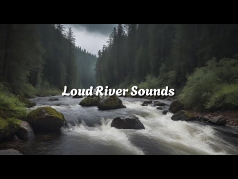 Loud River Sounds for Better Sleep: Let the Intense Flow of Water Lull ...