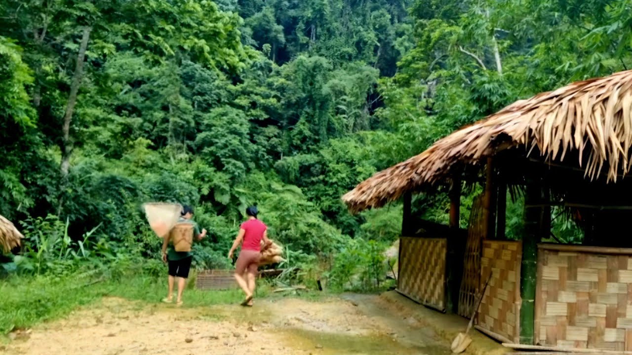 Fish Harvesting, Fish Trapping, Catching Fish in Streams - Happy Life ...