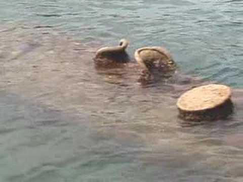 Uss Arizona Memorial Oil