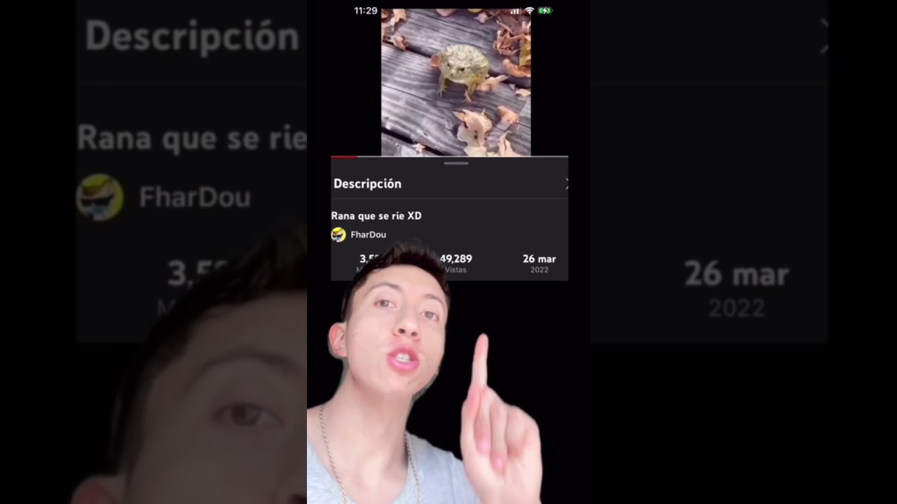 CÓMO SE CREÓ EL MEME DE LA RANA RIÉNDOSE?🐸😂(Atumalaka) #short # ...