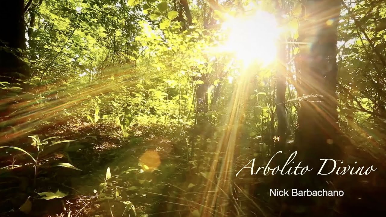 Arbolito Divino - Nick Barbachano - YouTube